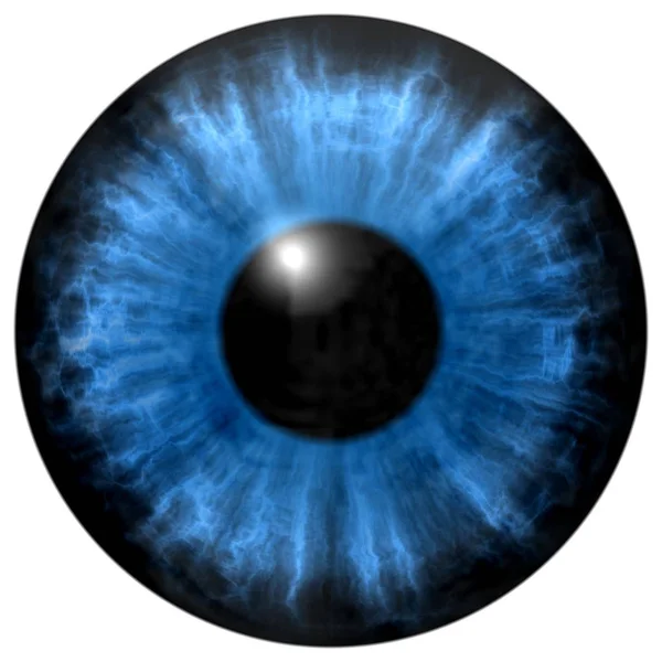 Dark Blue Iris Eye