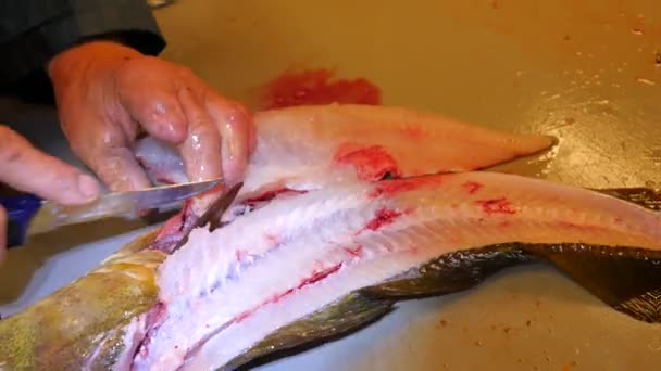 5,837 Animal protein Stock Videos, 4K & HD Footage | Depositphotos