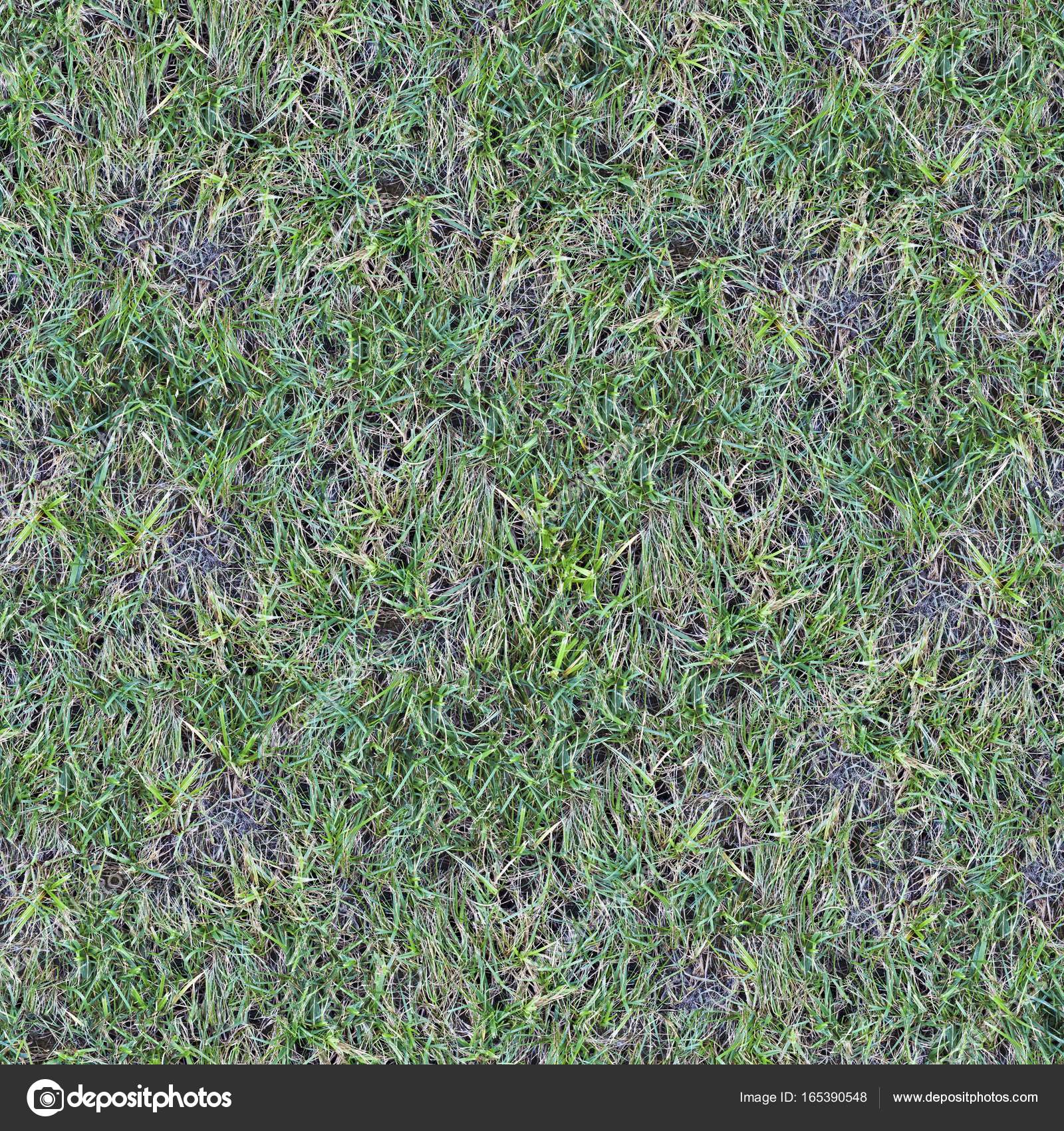 Seamless Tileable Natural Ground Field Texture — Stock Photo ...