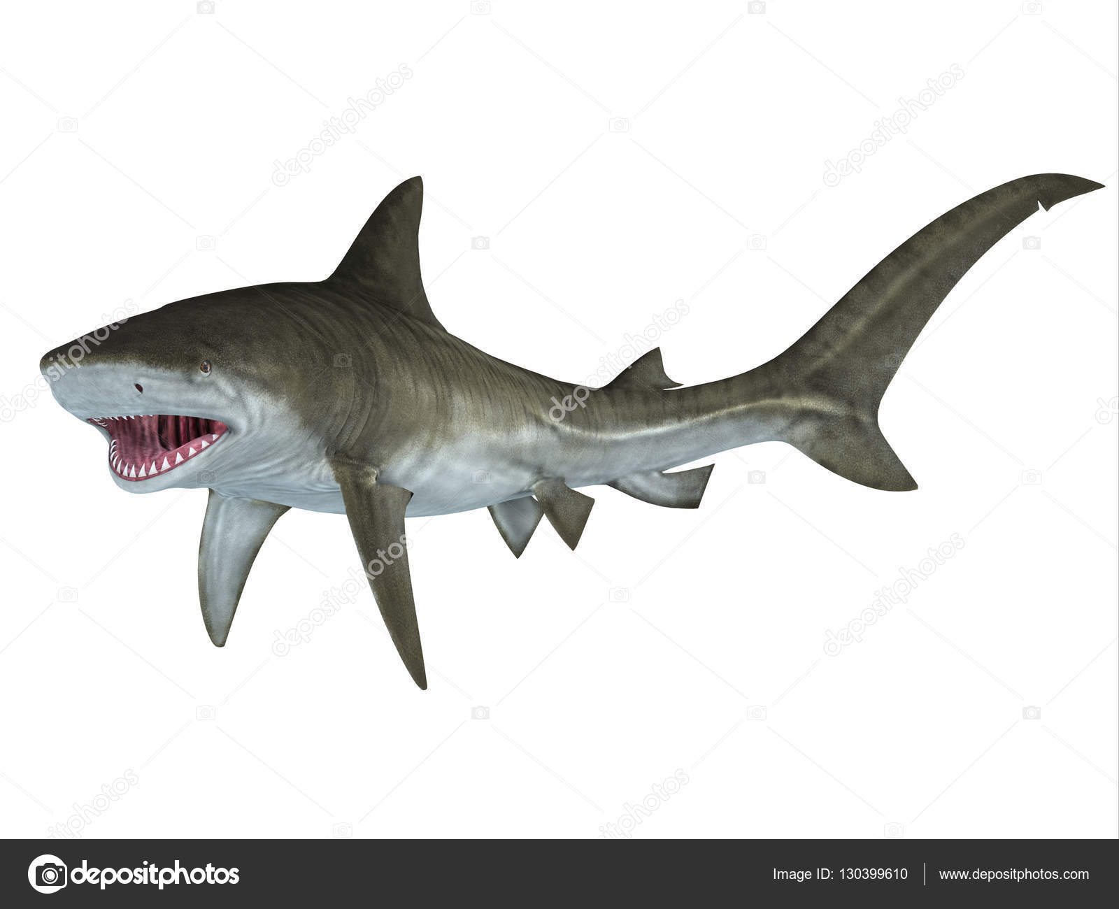 Great White Shark Side View Attack