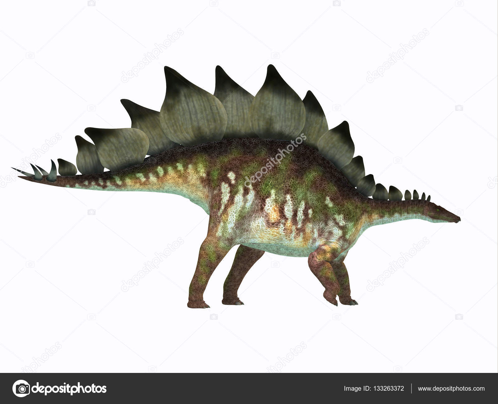 Stegosaurus Dinosaur Side Profile ⬇ Stock Photo, Image by © CoreyFord ...