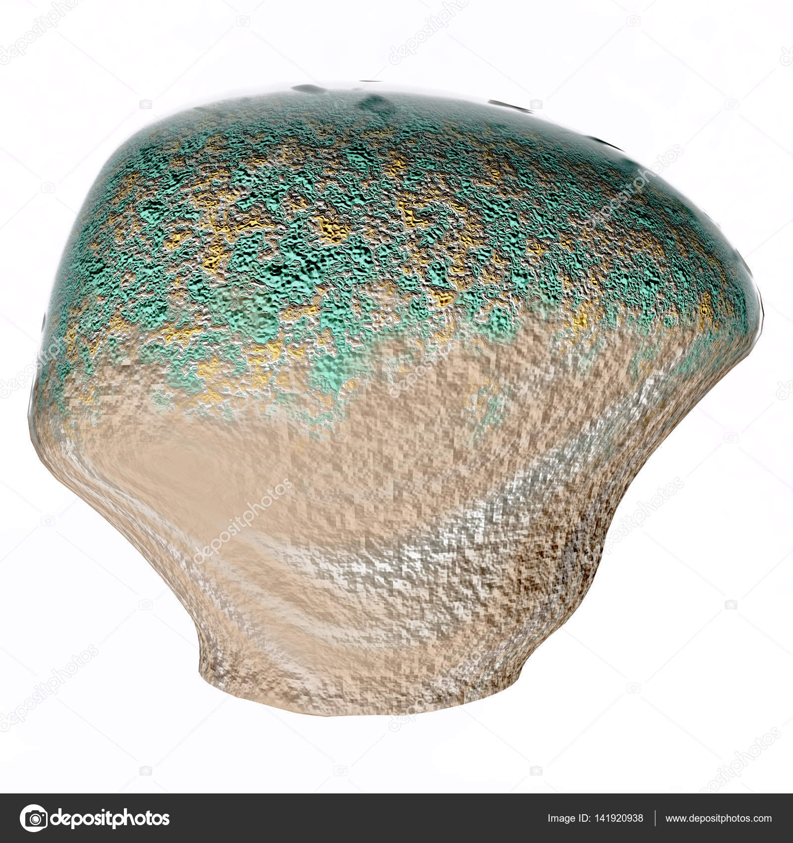 Stromatolites Cyanobacteria Structure — Stock Photo © CoreyFord #141920938