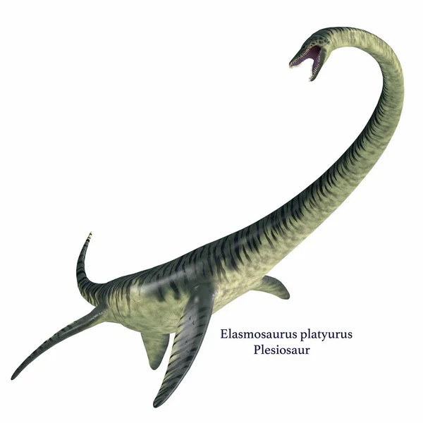 Plesiosaur Stock Photos, Royalty Free Plesiosaur Images | Depositphotos