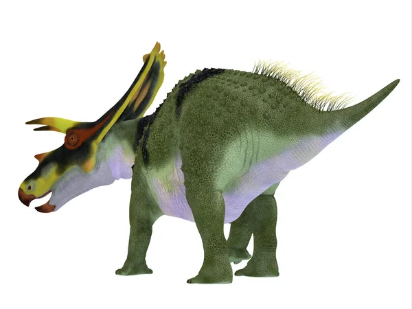 Bravoceratops