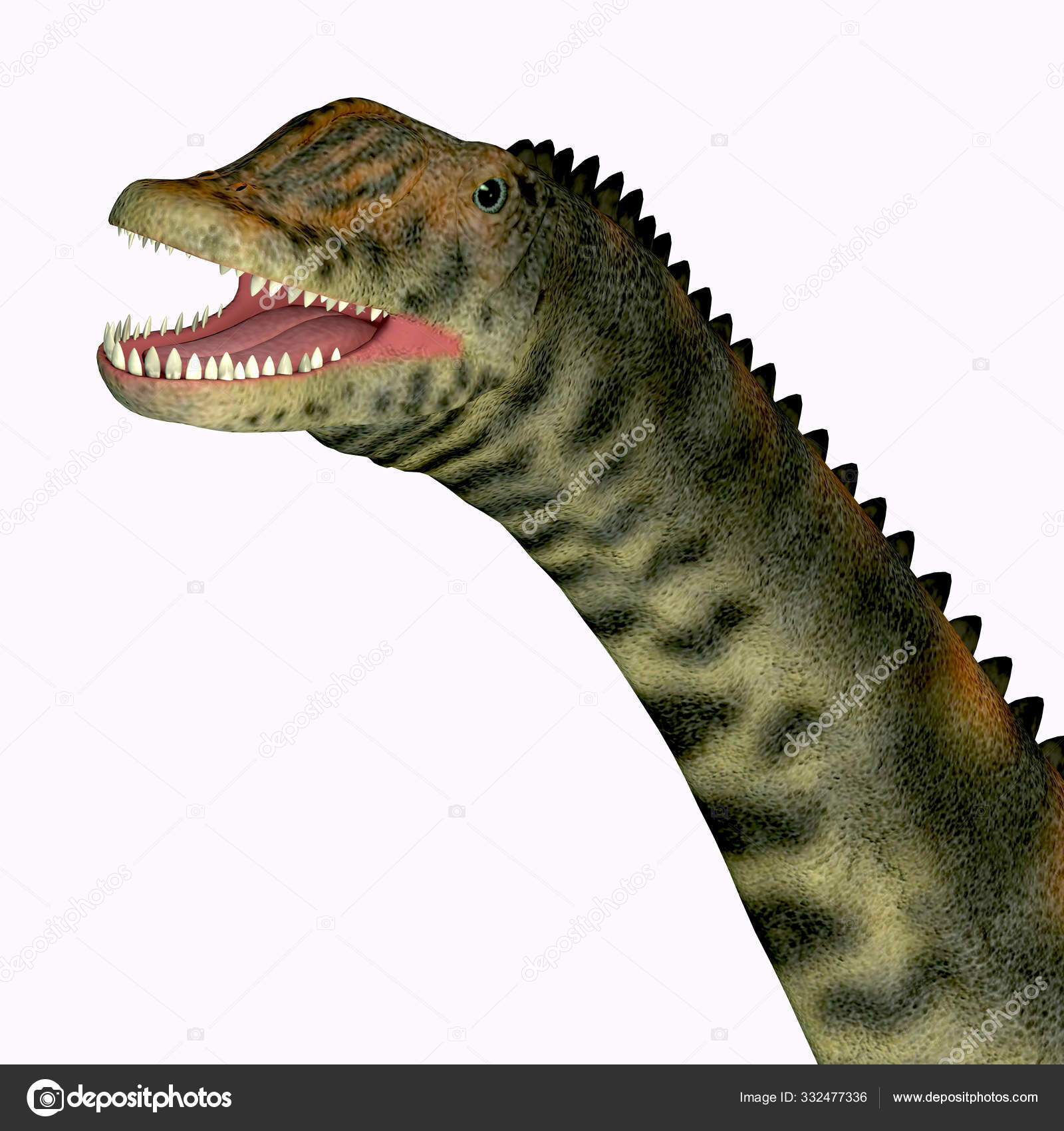 Spinophorosaurus Dinosaur Head — Stock Photo © CoreyFord #332477336