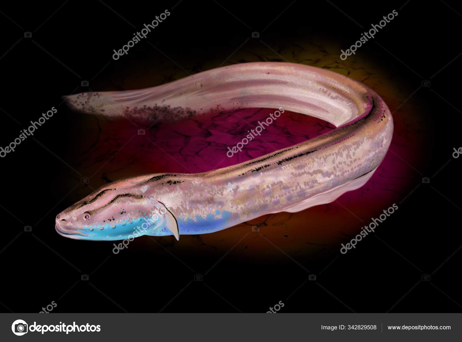 Realistic Drawing Electric Eel Electrophorus Electricus Illustration ...