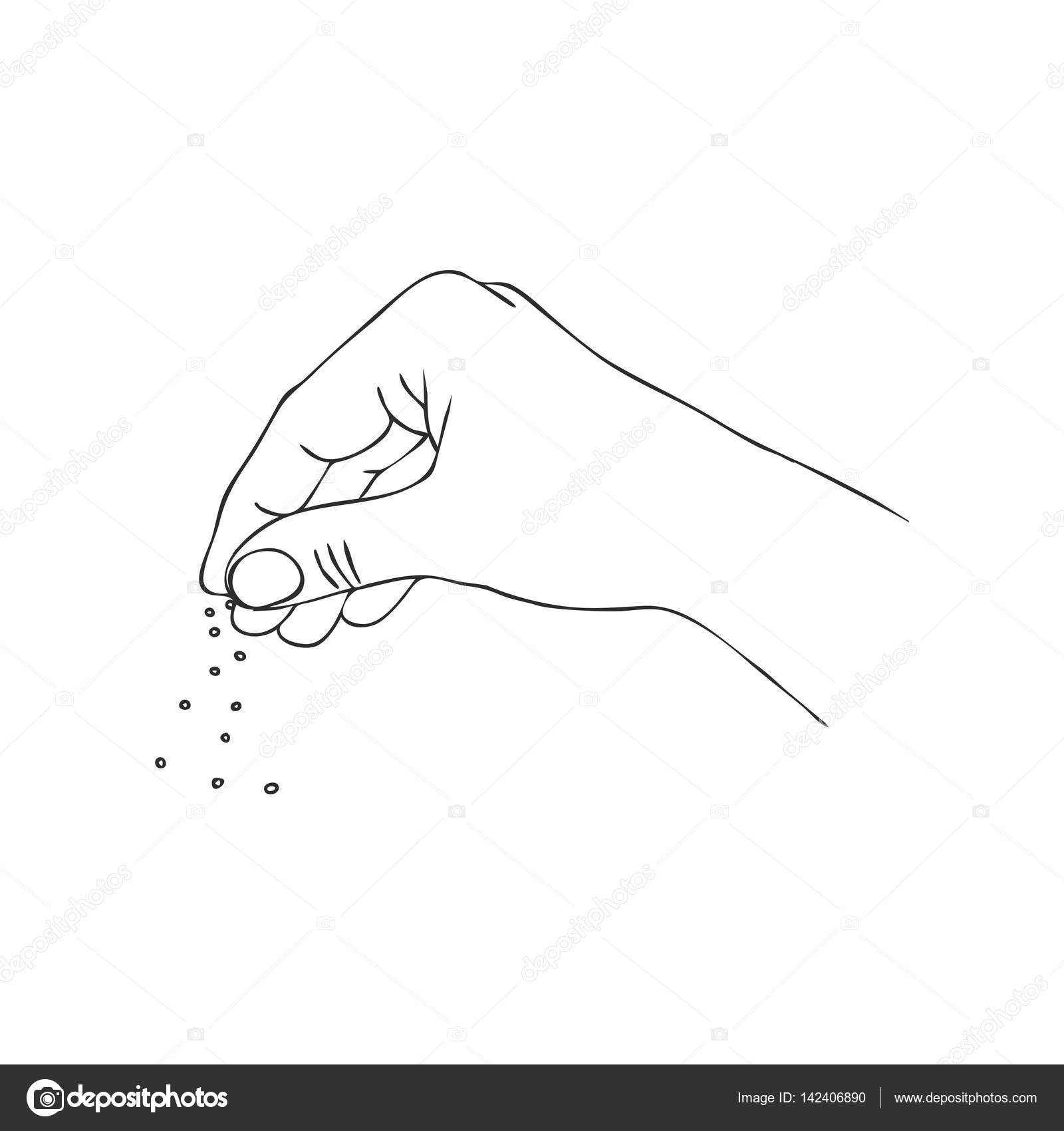 Cooking hand with salt Stock Vector Image by ©cat_arch_angel #142406890