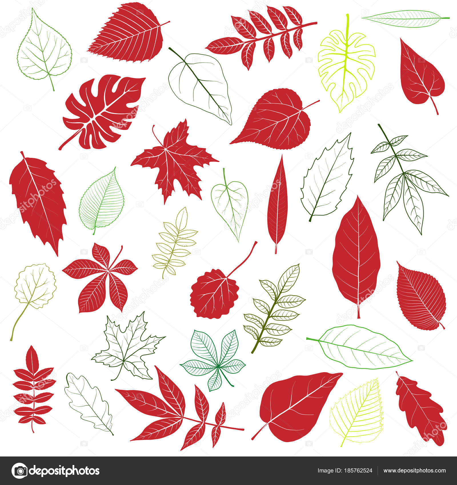 Vector set of tree leaves Stock Vector Image by ©cat_arch_angel #185762524