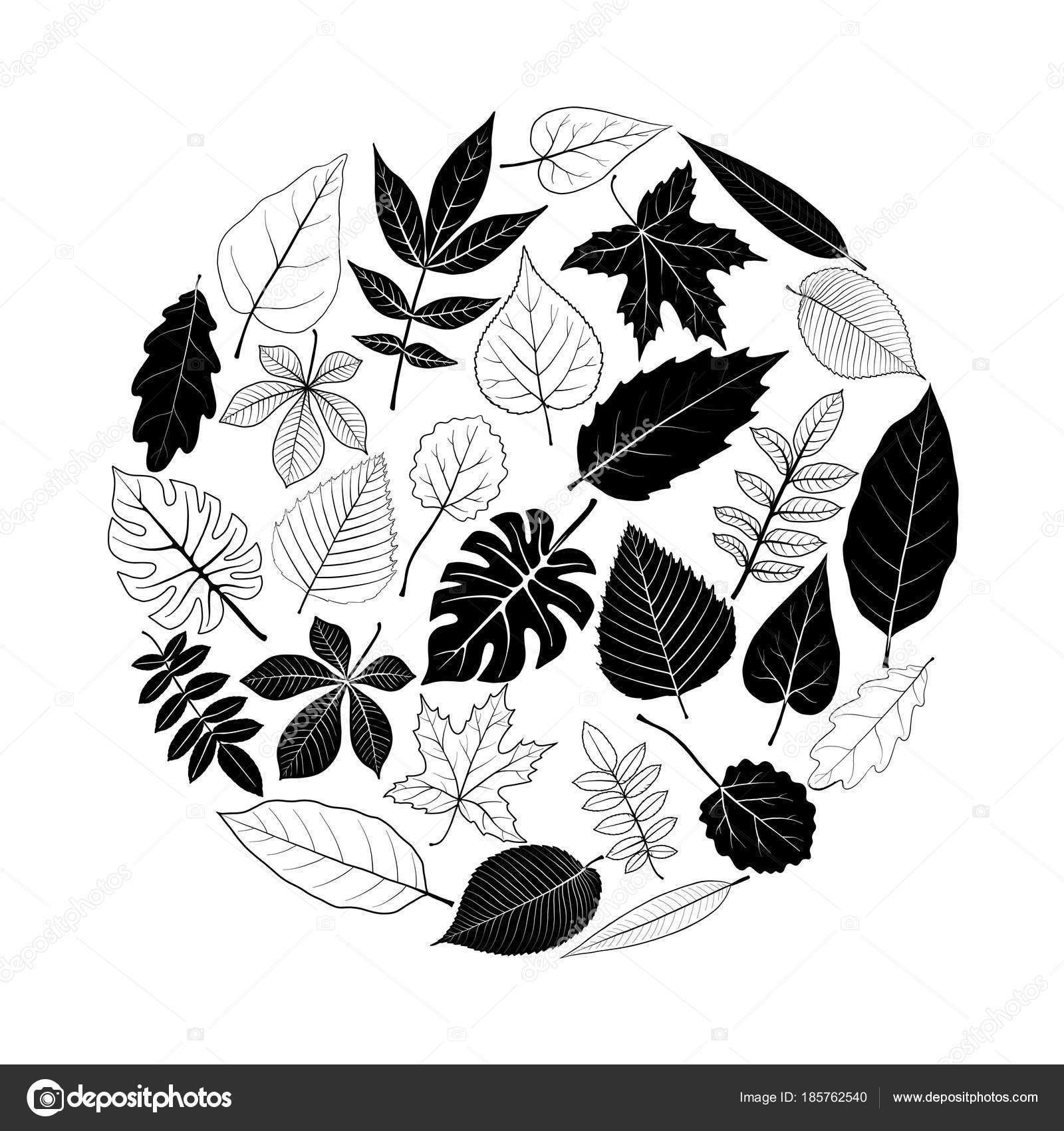Vector round template with tree leaves Stock Vector Image by ©cat_arch ...