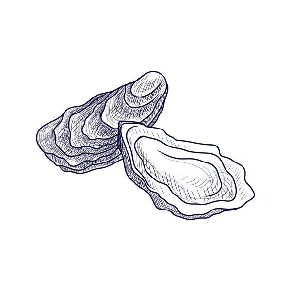 Oyster Shell Outline