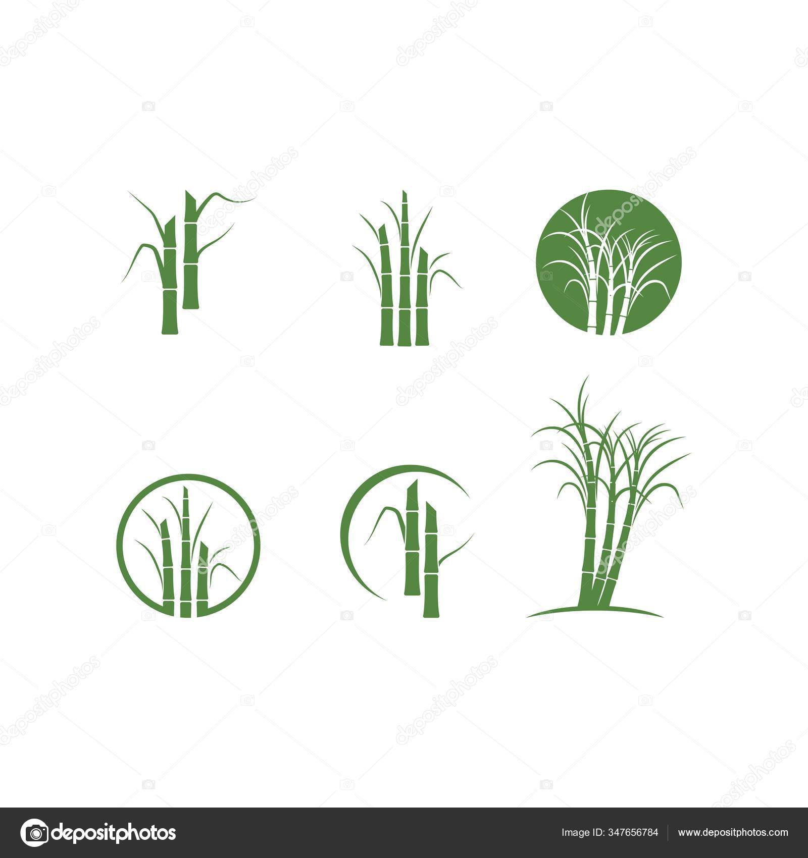 Logotipo De Tebu Negra Aspectos Agronômicos, Fitopatológicos E