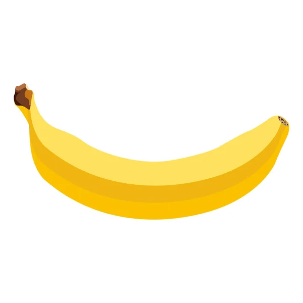 banana Vector de dibujos animados — Vector de stock © nikiteev #31213519 banana Vector de dibujos animados — Vector de stock © nikiteev #31213519