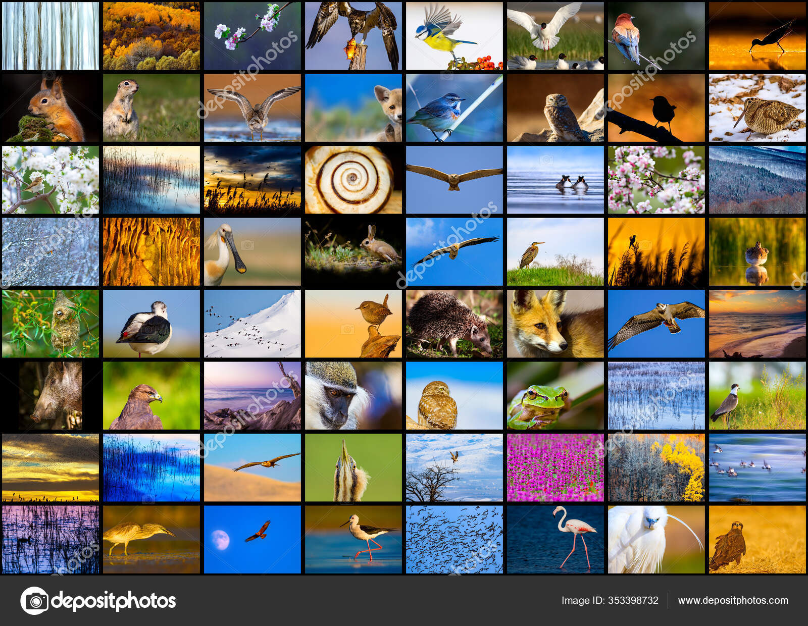 Television Screen Nature Photos Black Background Stock Photo by ©Mutan7 ...