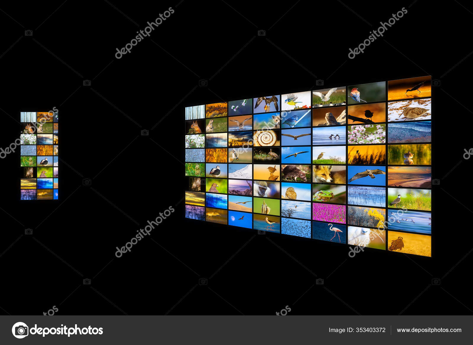 Pantalla Televisión Fotos Naturaleza Fondo Negro: fotografía de stock ...