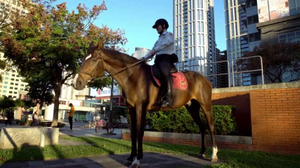 Explore the Thrill of Horse Riding in Yishun – Hello Kids Fun