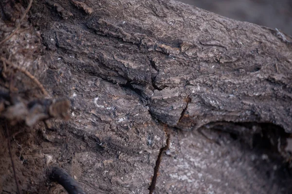 Trashing Pictures, Trashing Stock Photos & Images | Depositphotos®