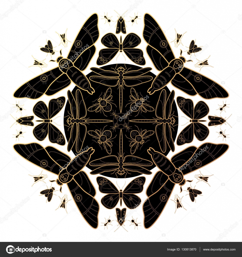 Decorative composition of various insects — Stock Vector © sasha-kasha ...