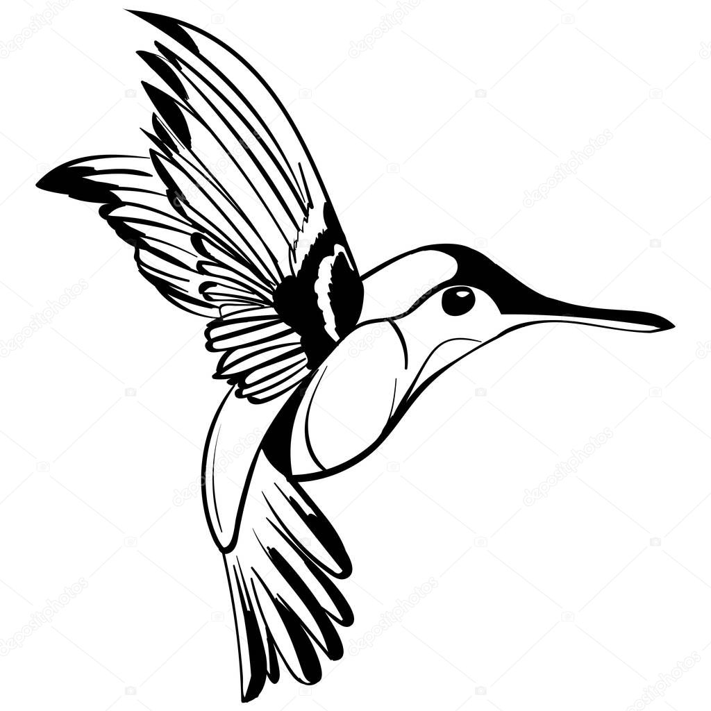 Dibujos Dibujo Colibri Tatuaje Dibujado Mano Sketch Dibujo De Colibri ... Dibujos Dibujo Colibri Tatuaje Dibujado Mano Sketch Dibujo De Colibri ...
