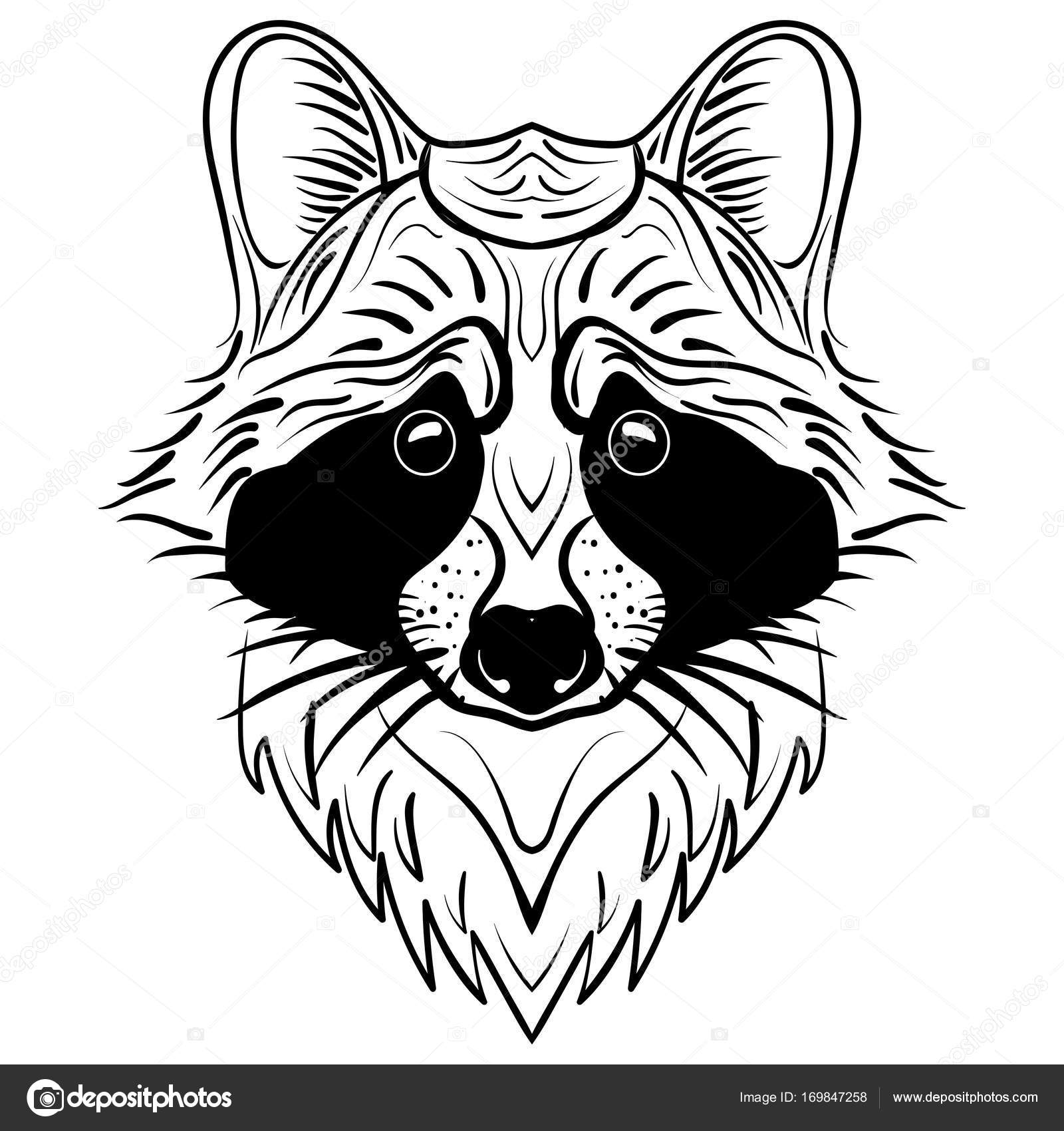 Boceto cara de mapache. garabato vector dibujado a mano Vector de stock ...