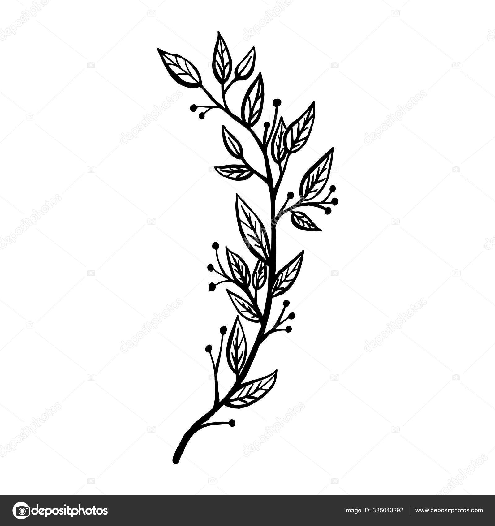 Tree Branch Graphic Design