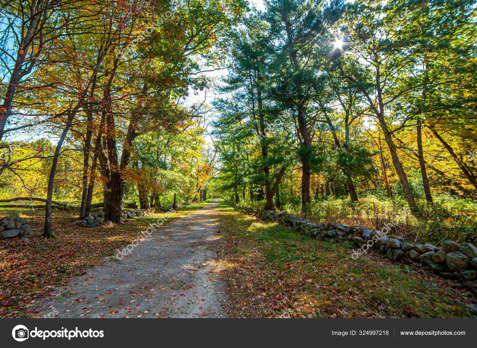 Are Dogs Allowed On Battle Road Concord