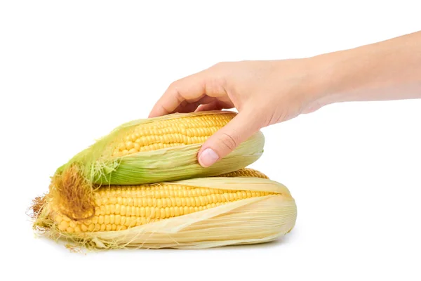 Hand corn Stock Photos, Royalty Free Hand corn Images | Depositphotos
