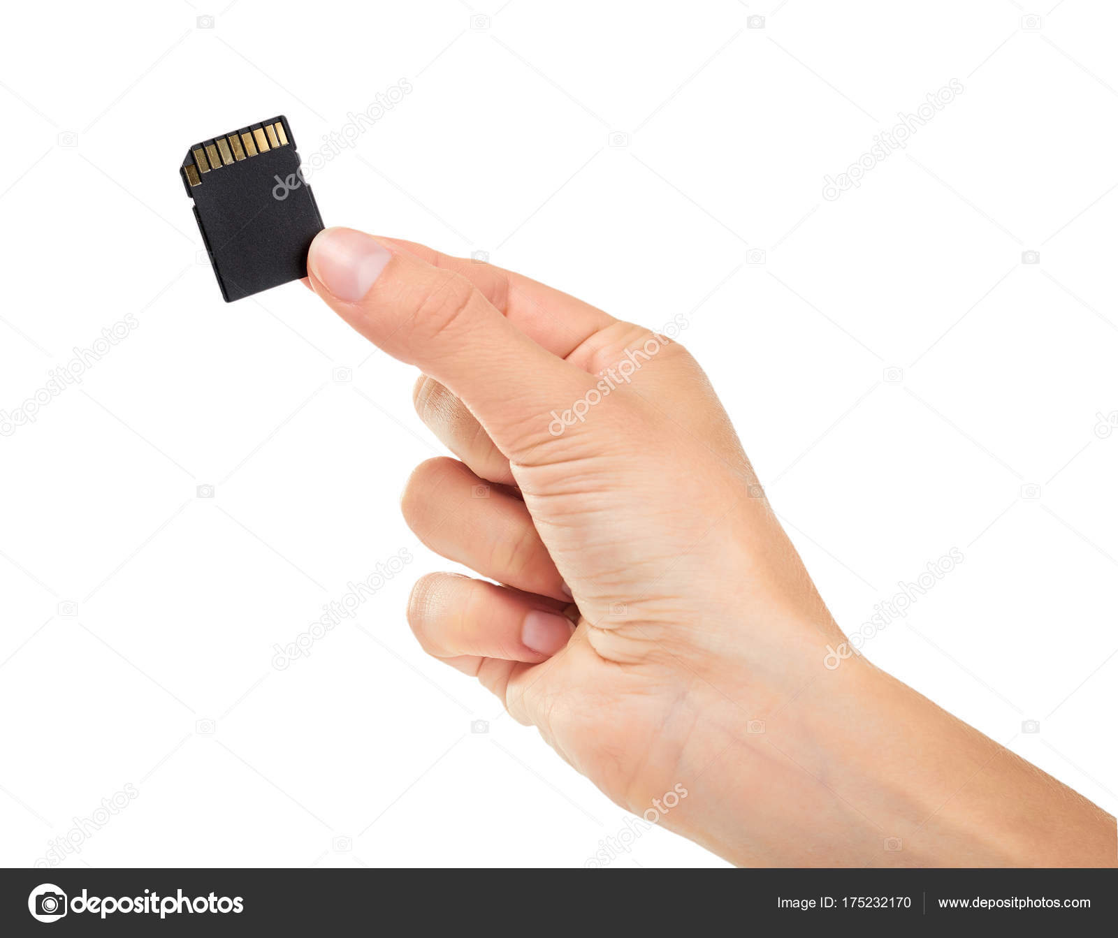 Female hand holding sd memory card. Isolated on white background Stock ...