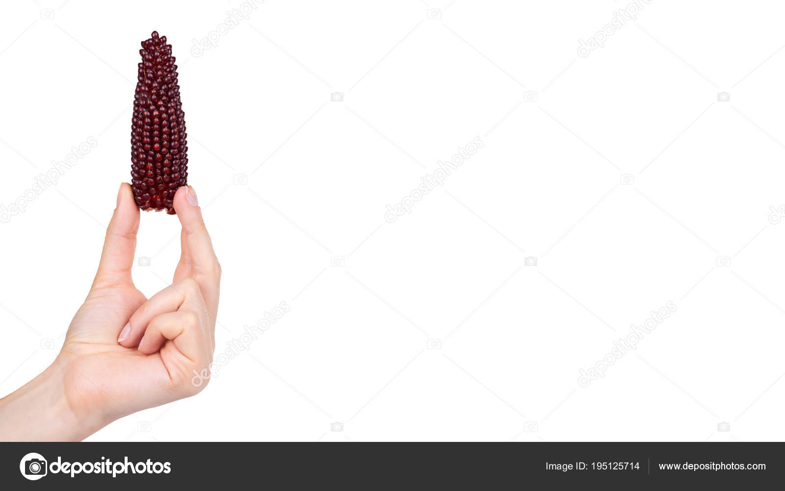 Indian Corn Template