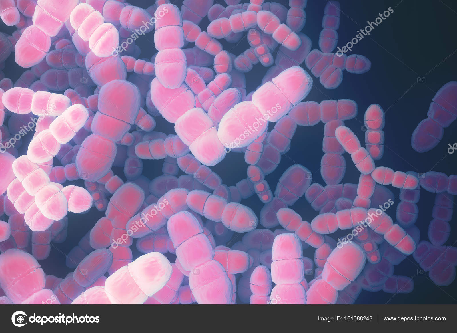 Microbiology Bacteria Wallpaper