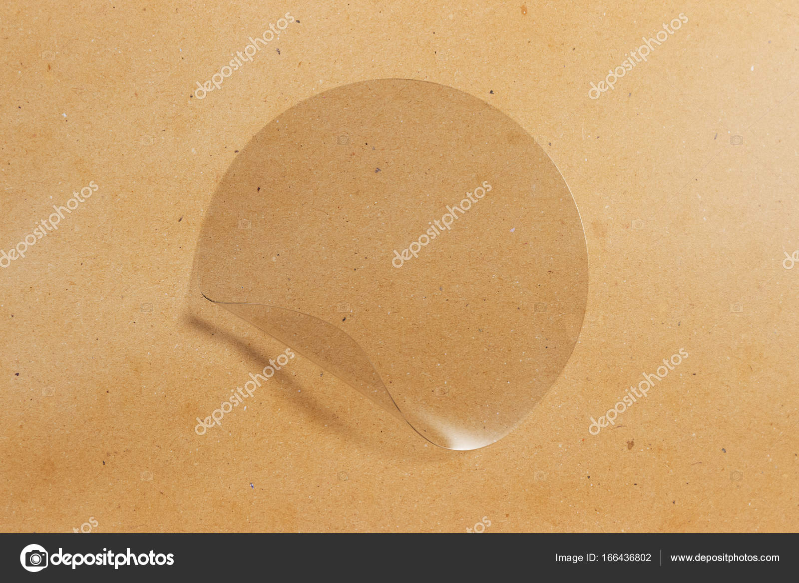 Transparent round sticker with curled peel off corner on light ...