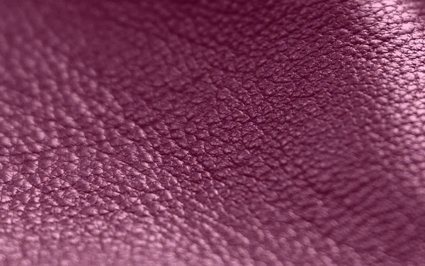 Natural leather. Violet leather texture. - Stock Image - Everypixel