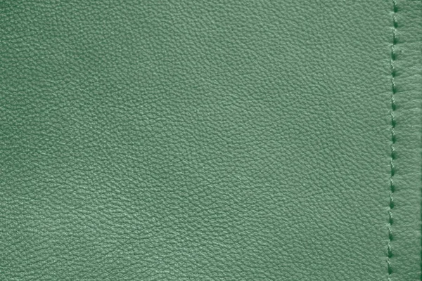 Green leather book Stock Photos, Royalty Free Green leather book Images ...
