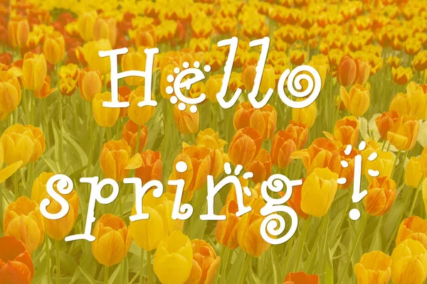 Happy friday spring Stock Photos, Royalty Free Happy friday spring ...