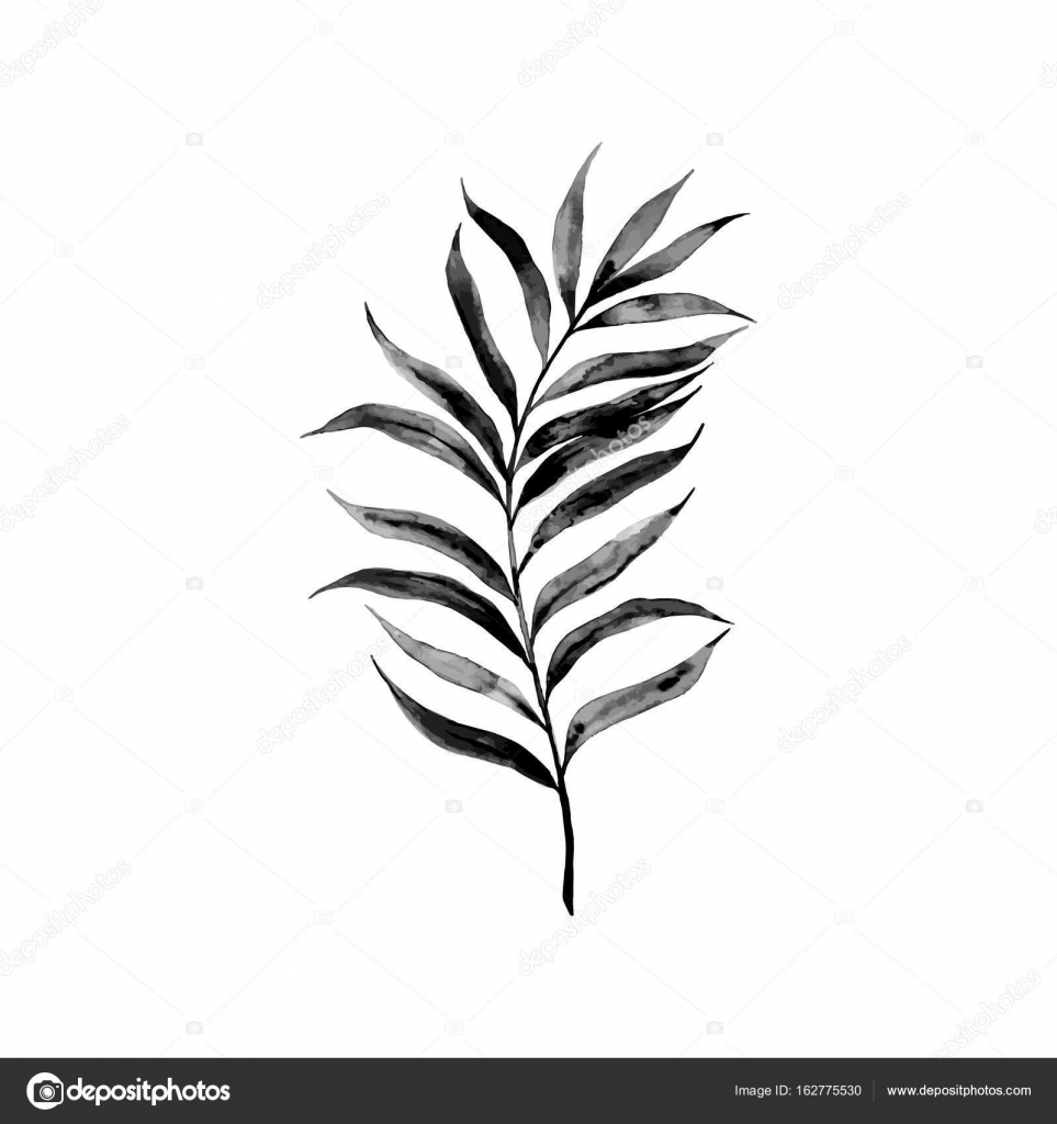 Palmera dibujada a mano Vector de stock por ©barkarola 162775530
