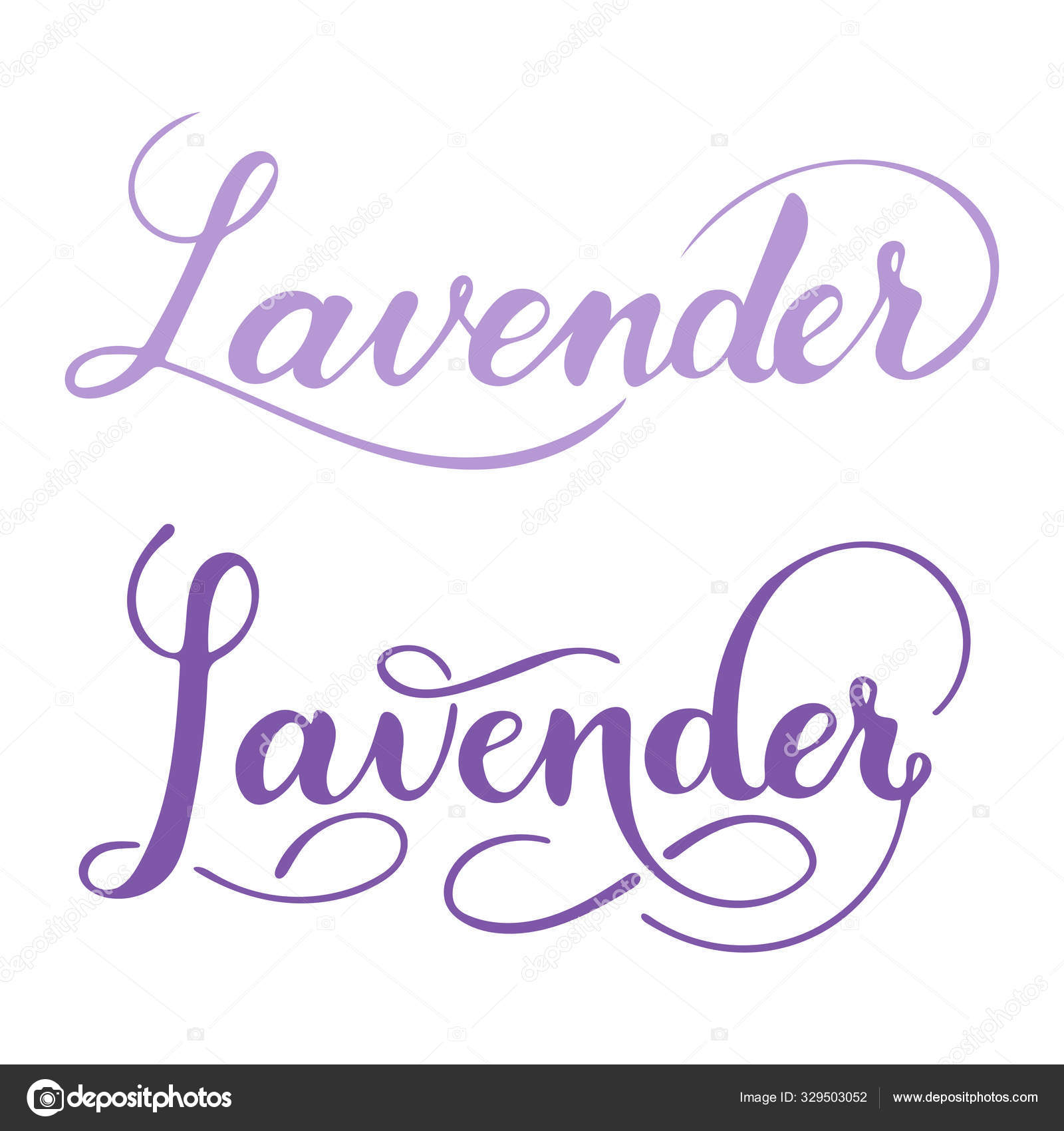 Vector hand written lavender text isolated on white background Stock ...