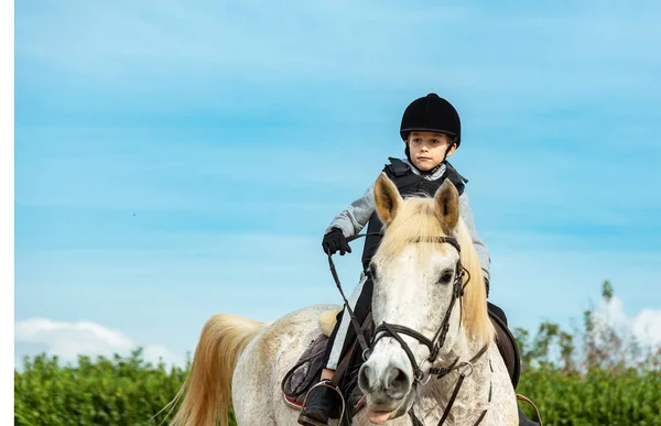 Portrait Equestrian Boy Riding Horse Stock Photo by ©22ImagesStudio ...