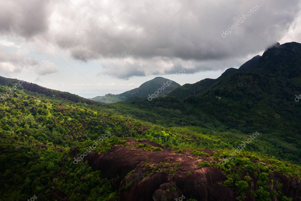 Vista aérea del paisaje tropical con palmeras verdes y selva y ...