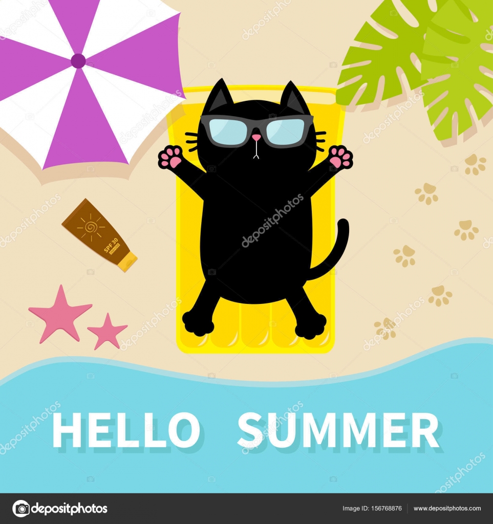 Black cat sunbathing on beach Stock Vector Image by ©worldofvector ...