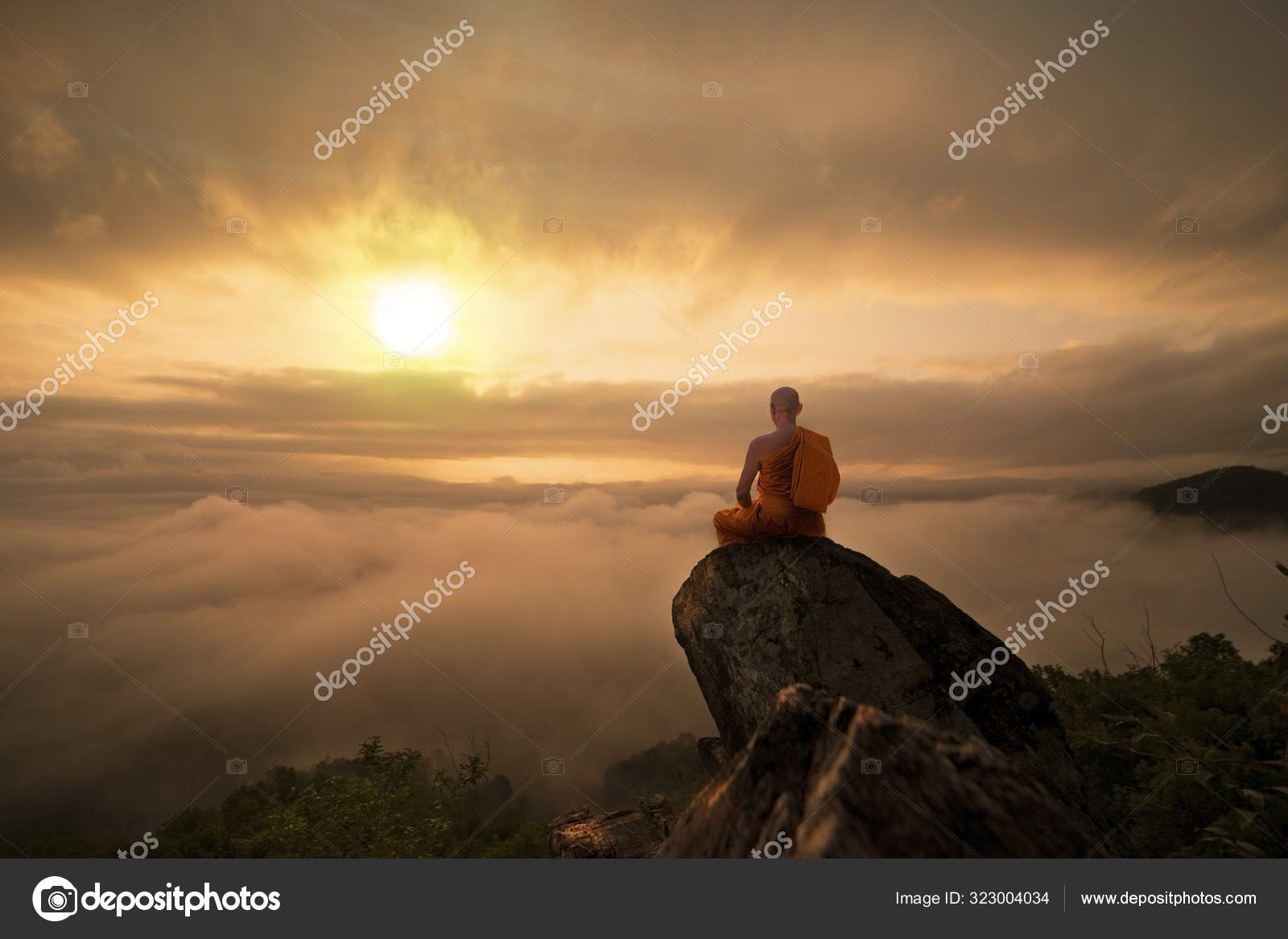 Monje Tibetano Meditando
