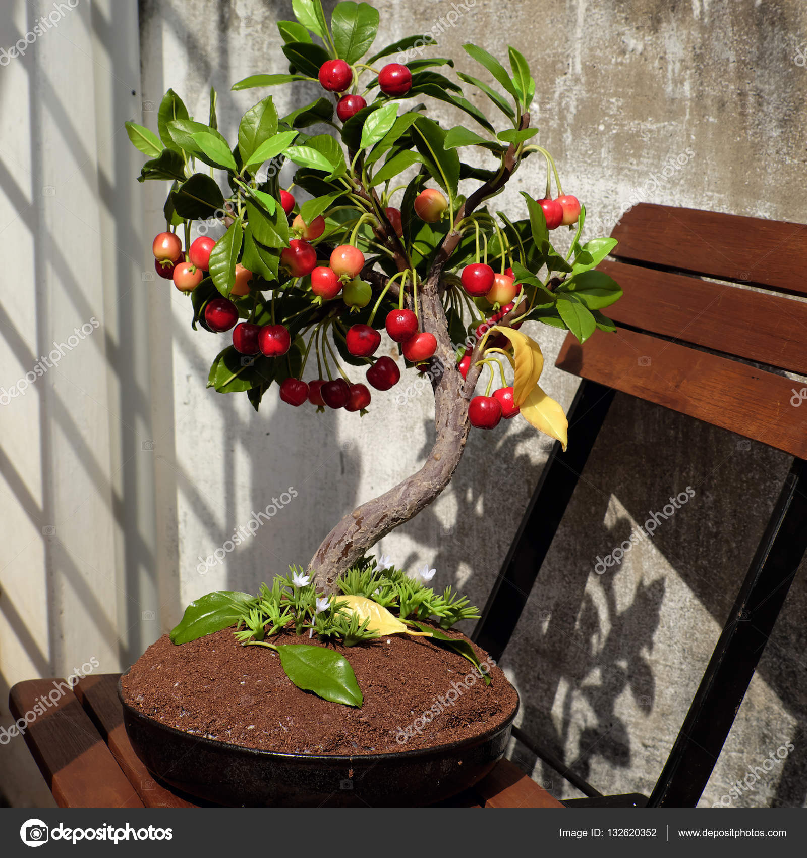 Cherry tree from clay, handmade bonsai Stock Photo by ©xuanhuongho ...