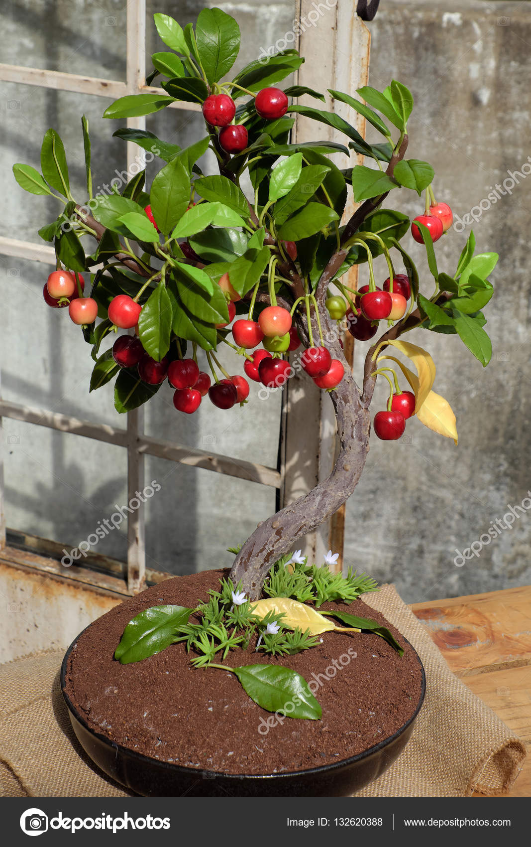 Cherry tree from clay, handmade bonsai — Stock Photo © xuanhuongho ...