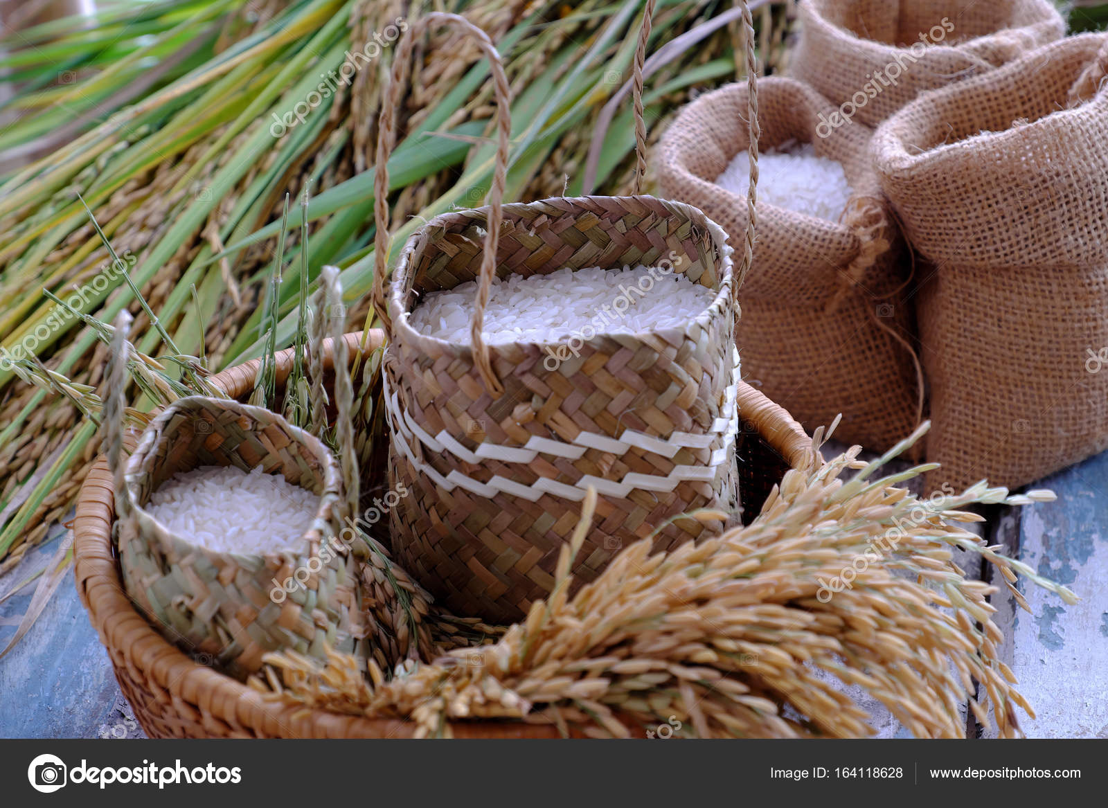 Paddy grain and rice seed — Stock Photo © xuanhuongho #164118628