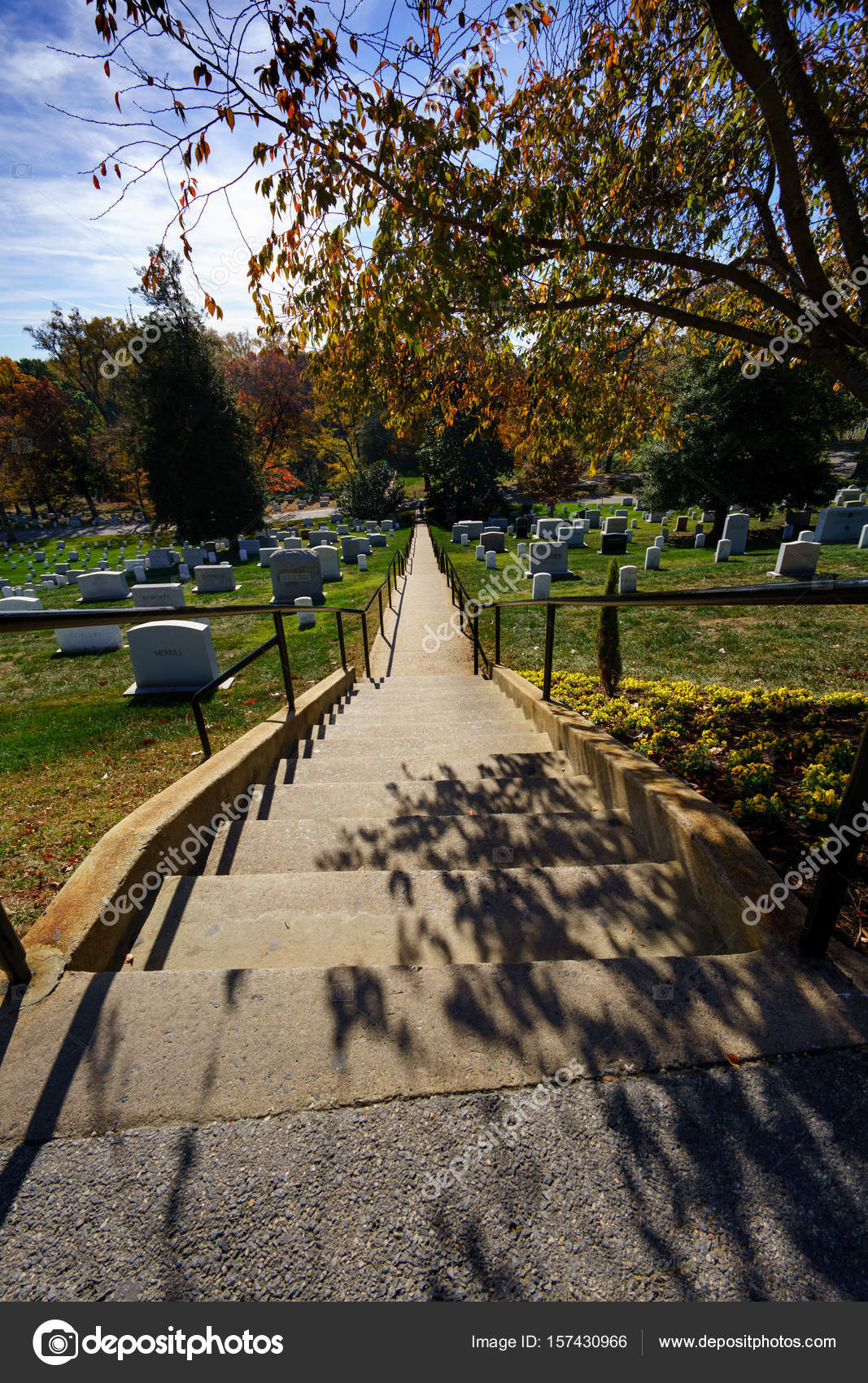 View along path with shadows from tree in cemetery — Stock Photo ...