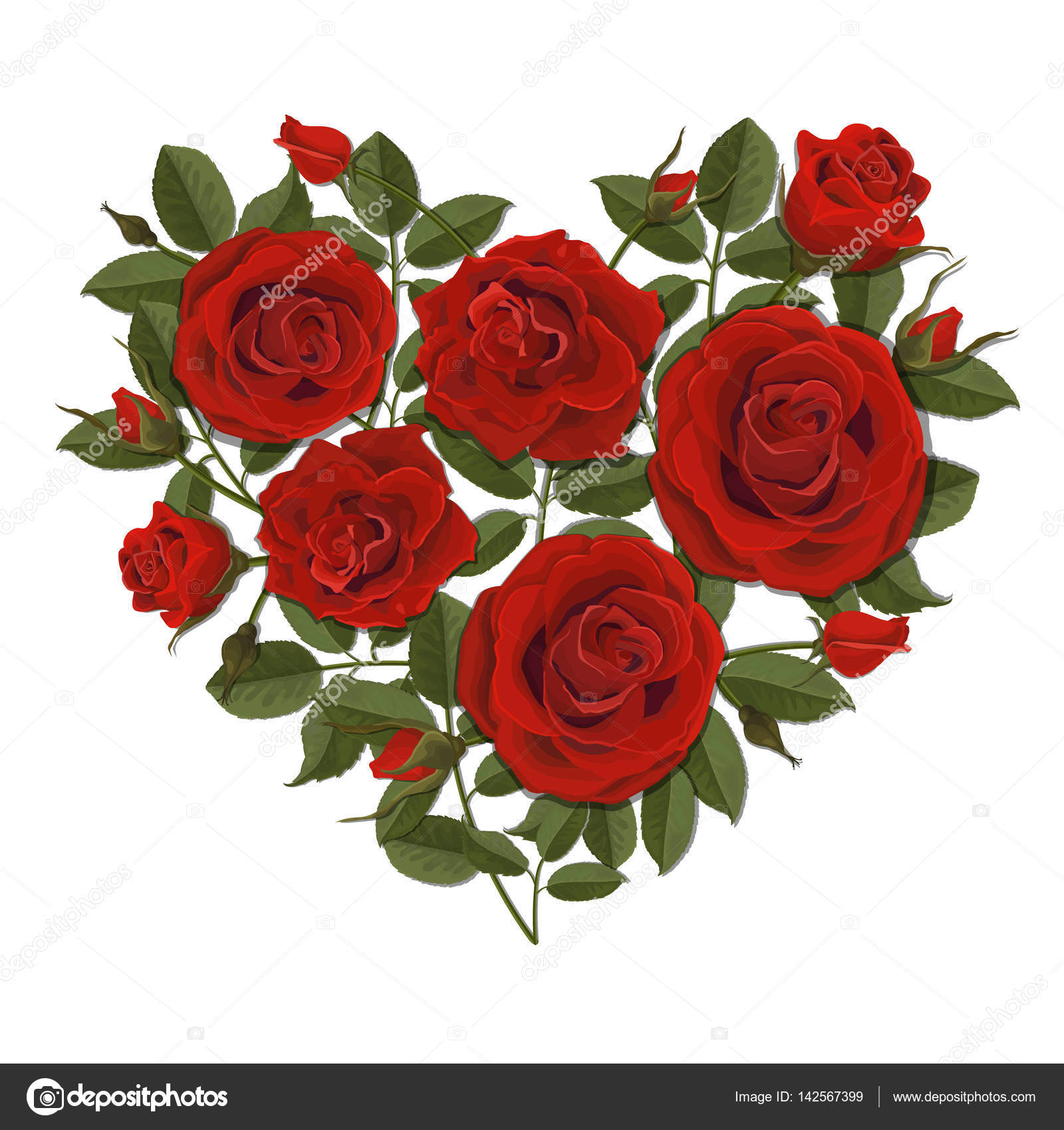 Heart shaped rose bush Stock Vector Image by ©belikovand #142567399