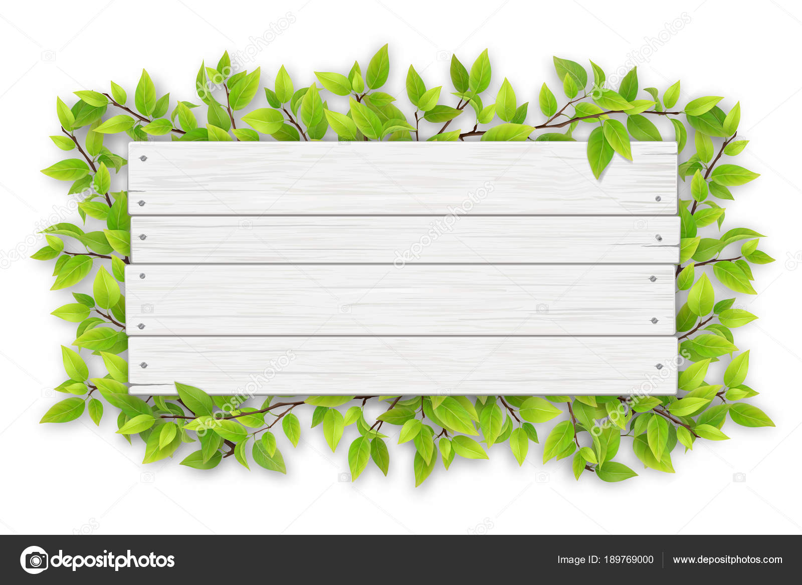 Empty white wooden sign with tree branch Stock Vector Image by ...
