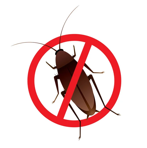 Roaches Vector Images | Depositphotos