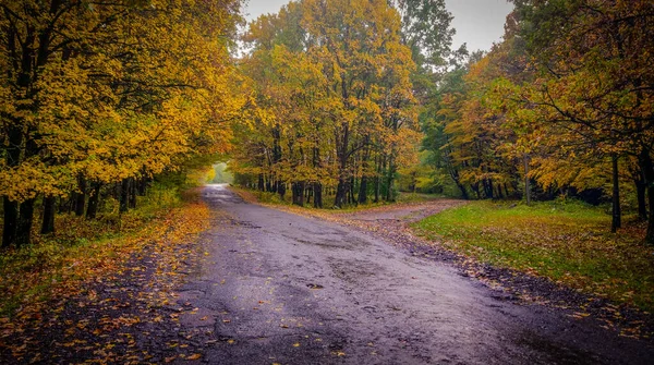 Fall road Stock Photos, Royalty Free Fall road Images | Depositphotos