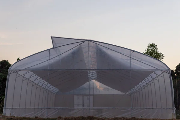 Smart greenhouse Stock Photos, Royalty Free Smart greenhouse Images | Depositphotos