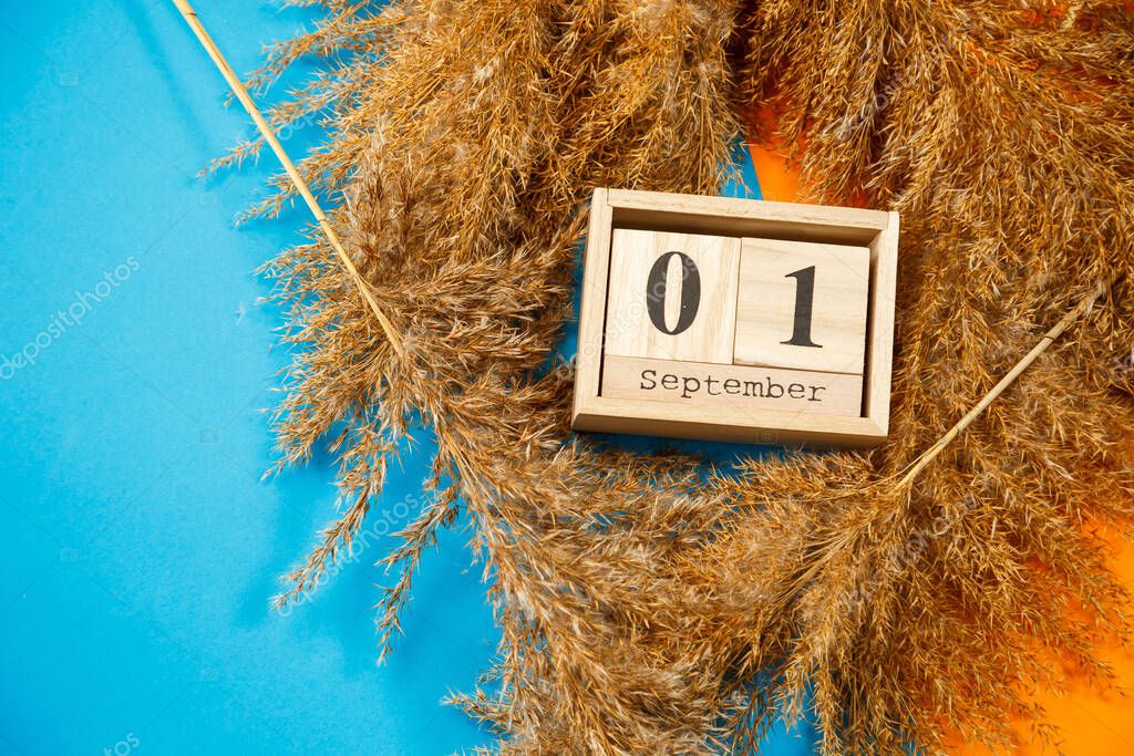 Calendario de cubos de madera con números y meses. Elegir un número en ...