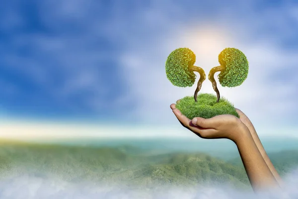 Creation of plant Stock Photos, Royalty Free Creation of plant Images ...